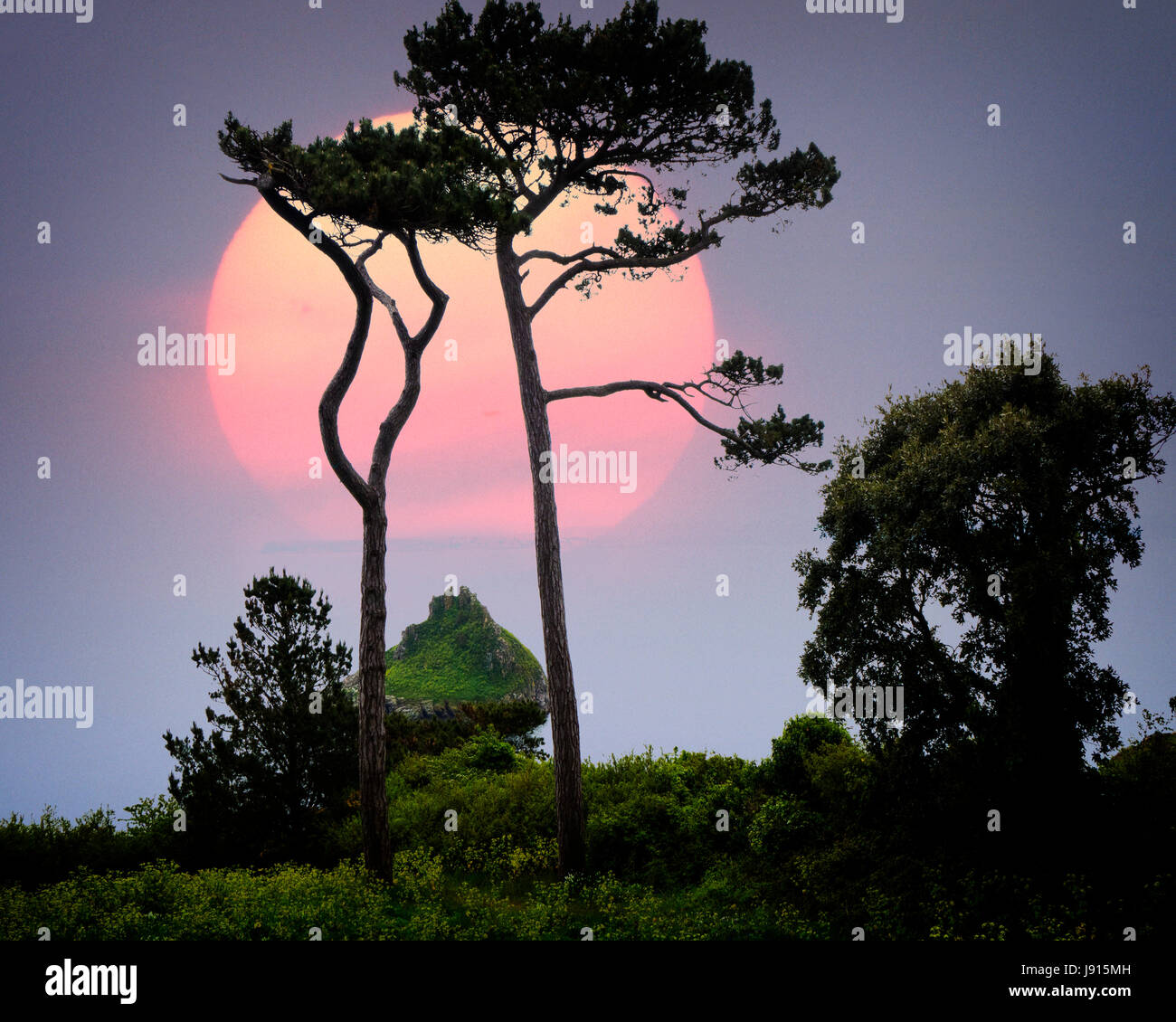 GB - DEVON: Torquay, Thatcher Rock at Sunset Stock Photo - Alamy