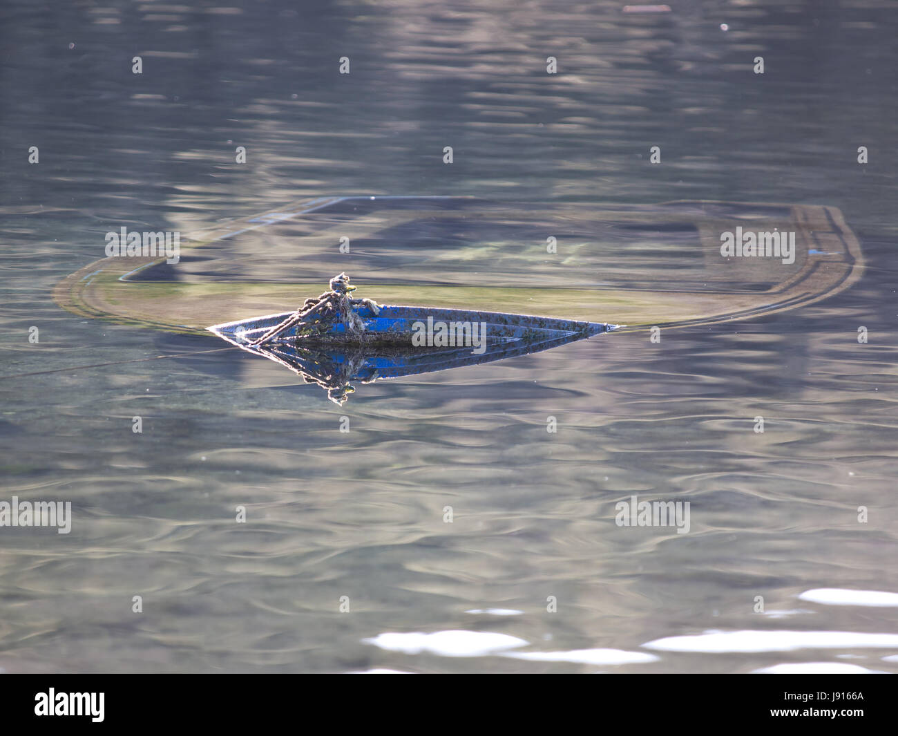 small, tiny, little, short, boat, ropes, sunk, sinking, salt water, sea ...