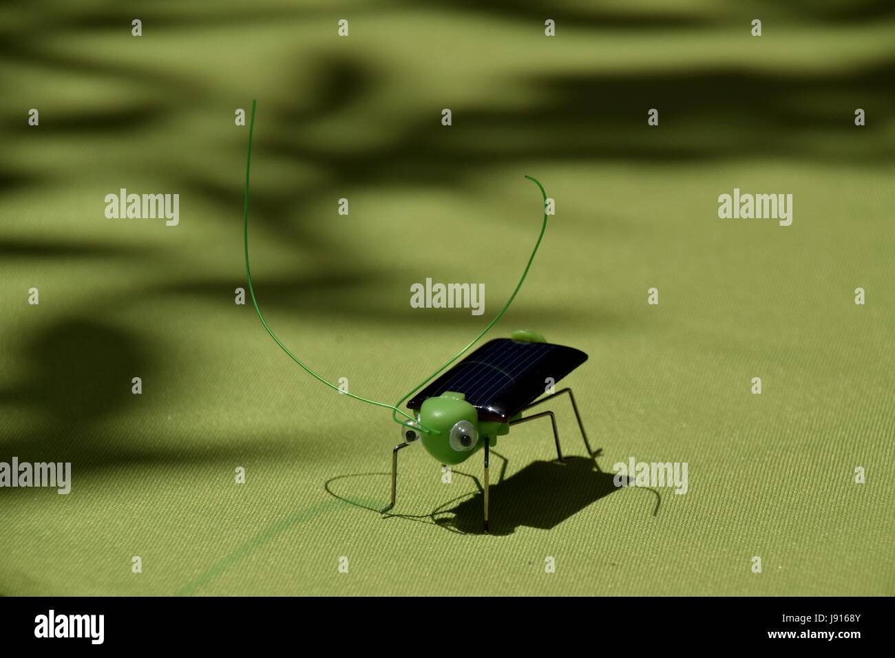 Solar powered grasshopper toy on the green artificial surface with the ...