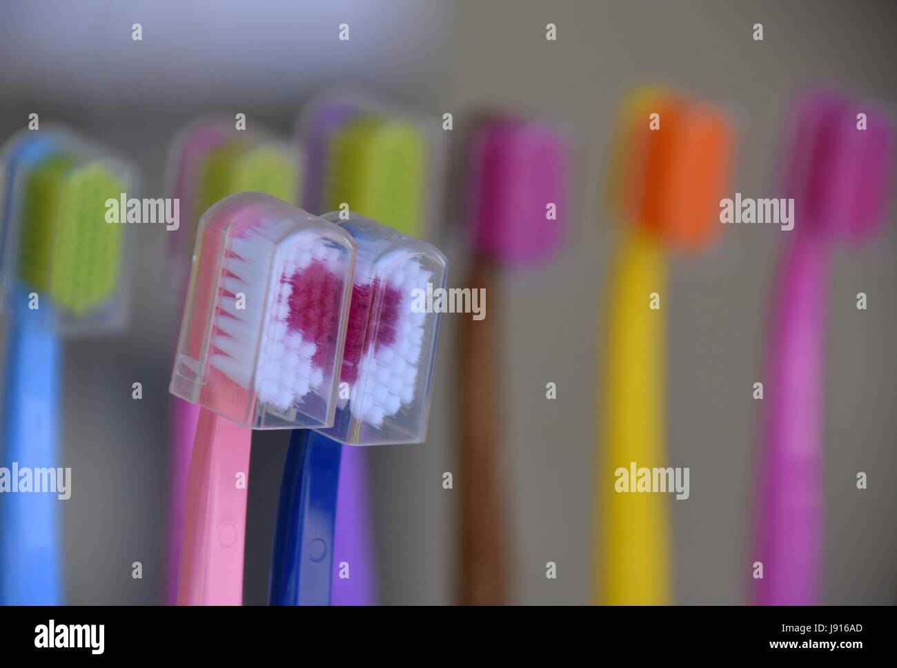 Two toothbrush side by side hart shape. Looks like they are in love ...