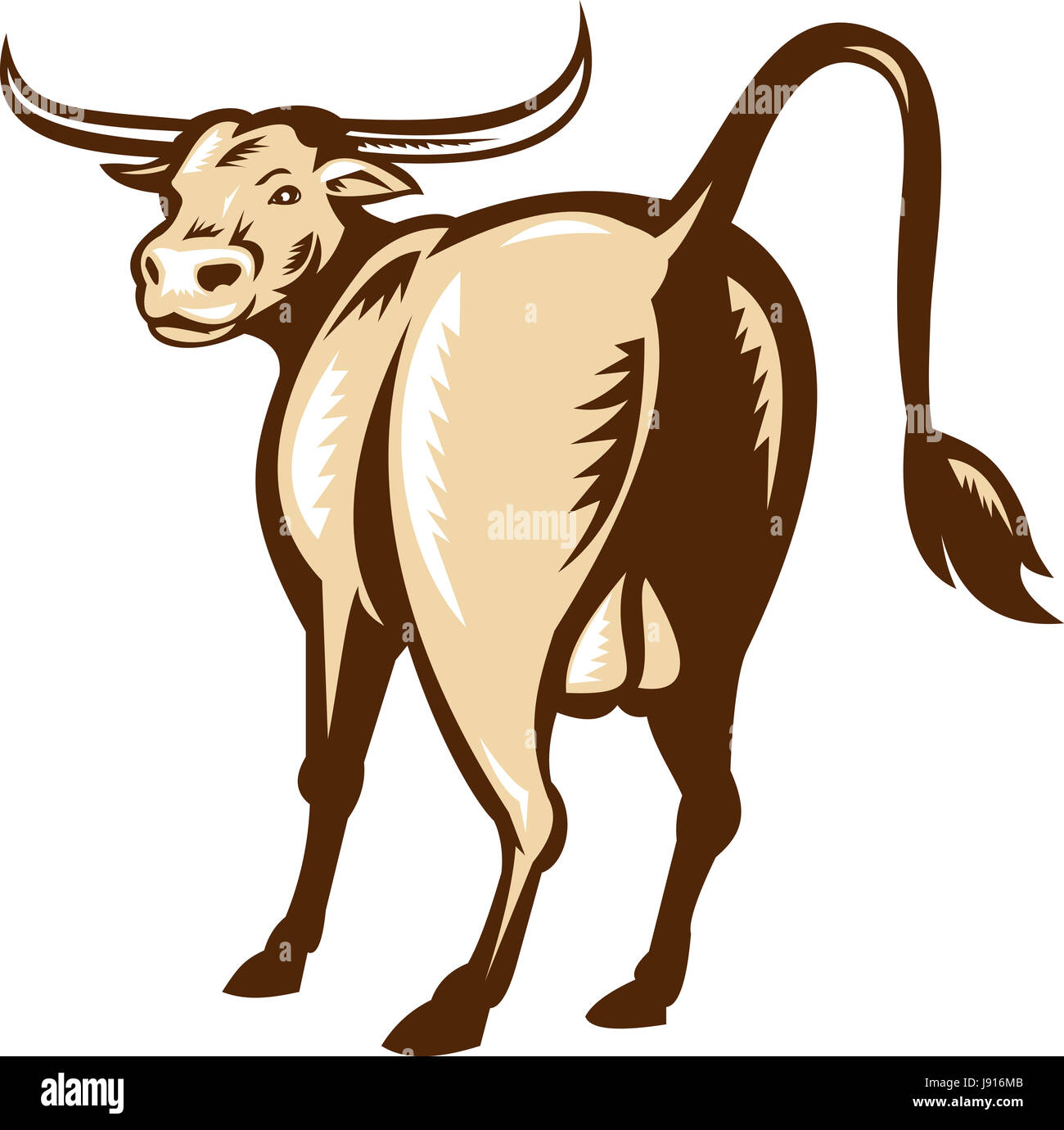 isolated, bull, illustration, cow, bovine, cattle, steer, buttocks ...