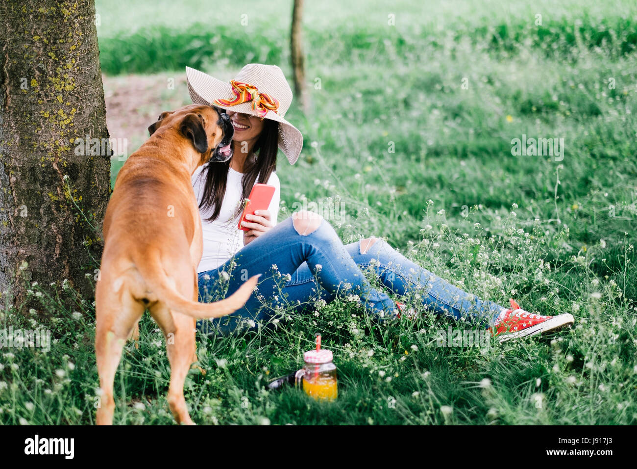 Cute Female Boxer Dog High Resolution Stock Photography and Images - Alamy