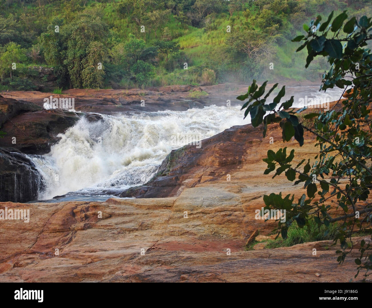 raging torrent at murchison falls Stock Photo - Alamy