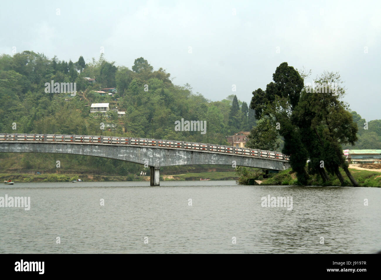 tree, trees, bridge, goal, passage, gate, archgway, gantry, enjoy ...