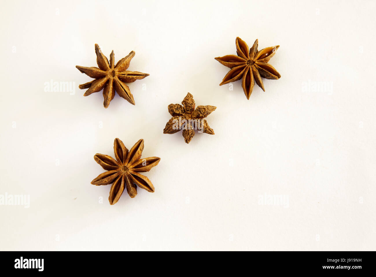 spice, flower, plant, brown, brownish, brunette, aromatic, food ...