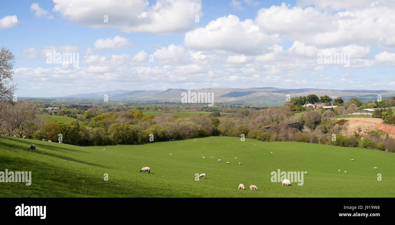 A panoramic view looking across the Eden Valley Stock Photo - Alamy
