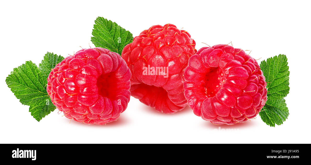 Raspberry isolated on white background Stock Photo - Alamy