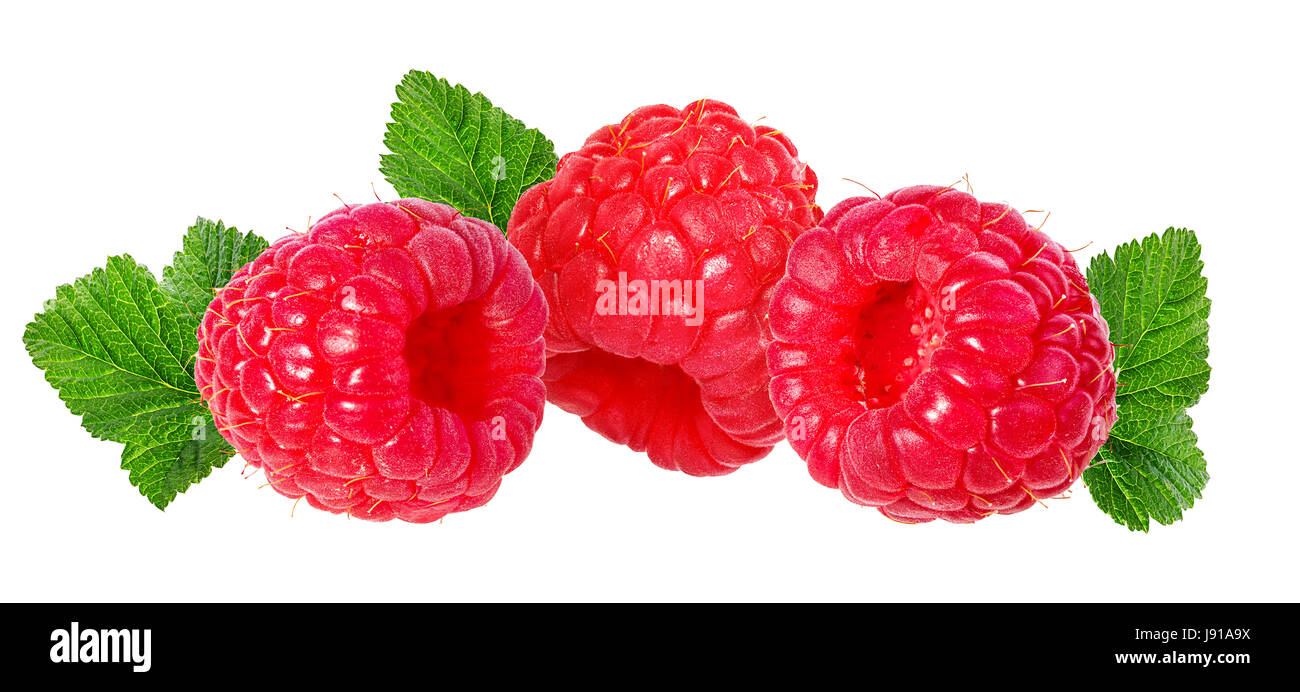 Raspberry isolated on white background Stock Photo - Alamy