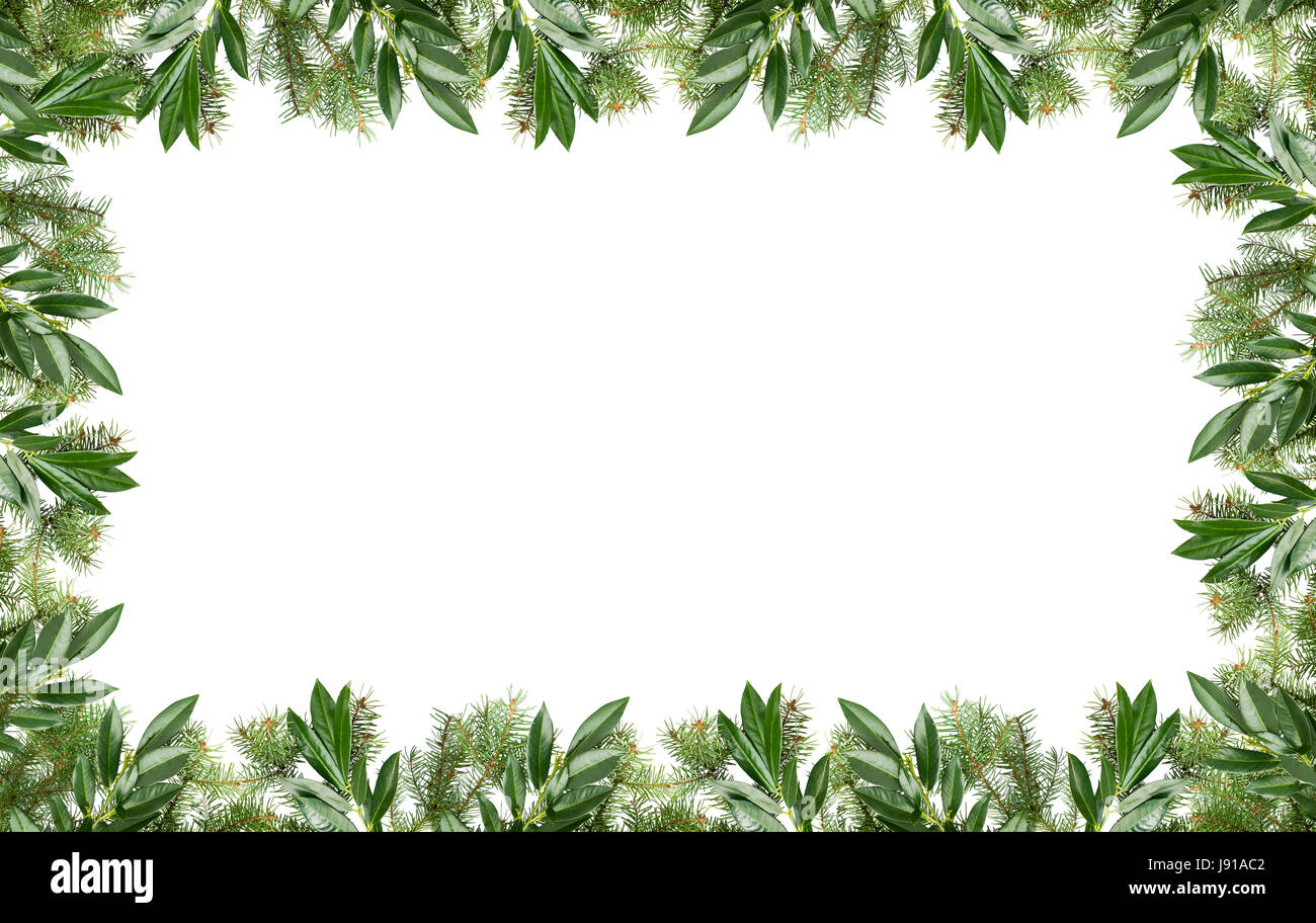 isolated, holiday, model, design, project, concept, plan, draft, tree ...