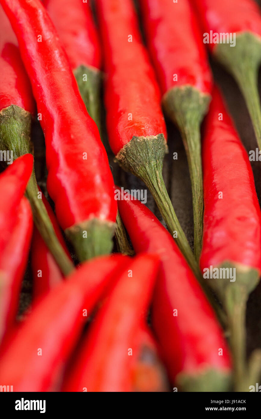 red hot chili peppers, popular spices concept - colorful macro of red ...