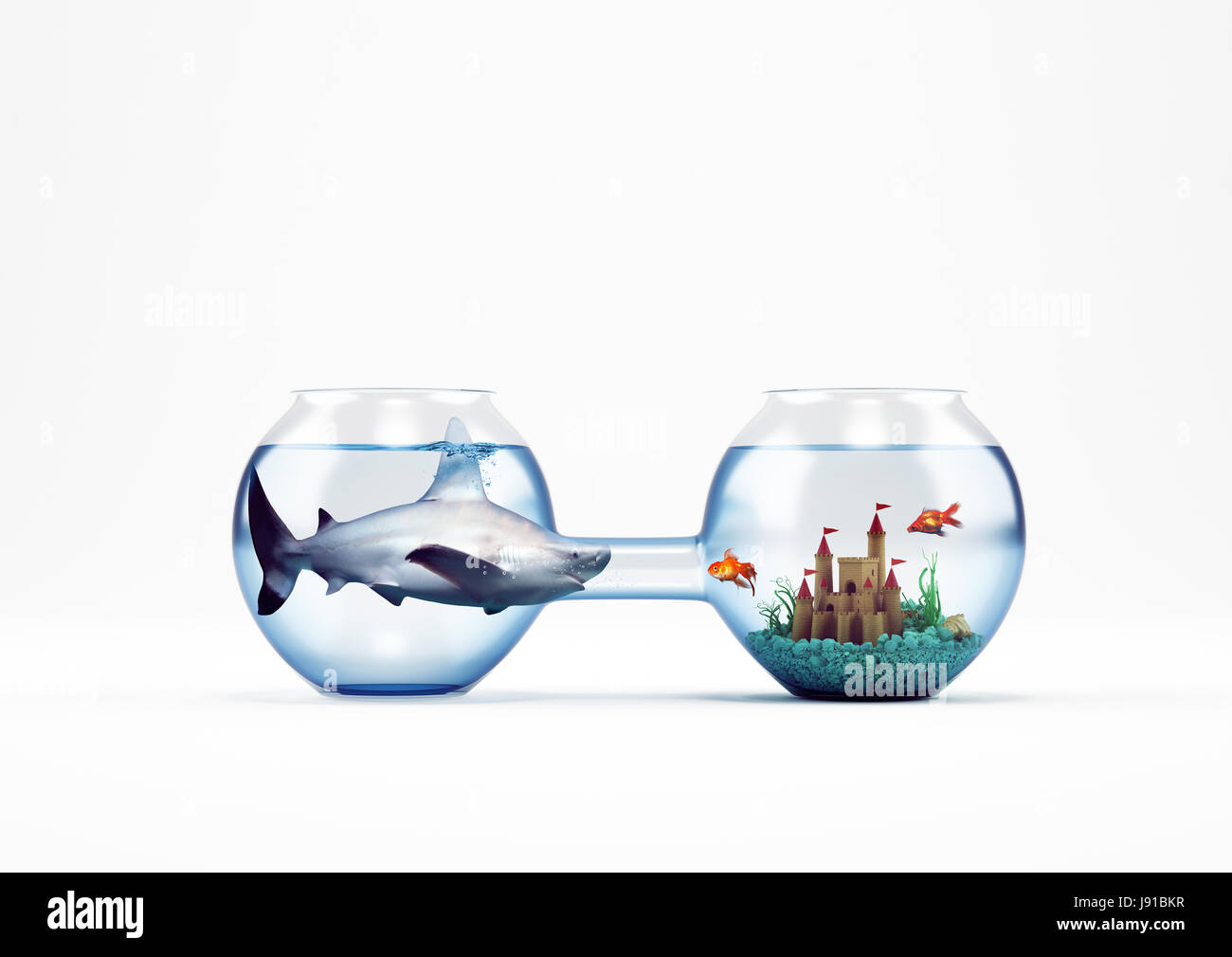 Skill competition hi-res stock photography and images - Alamy