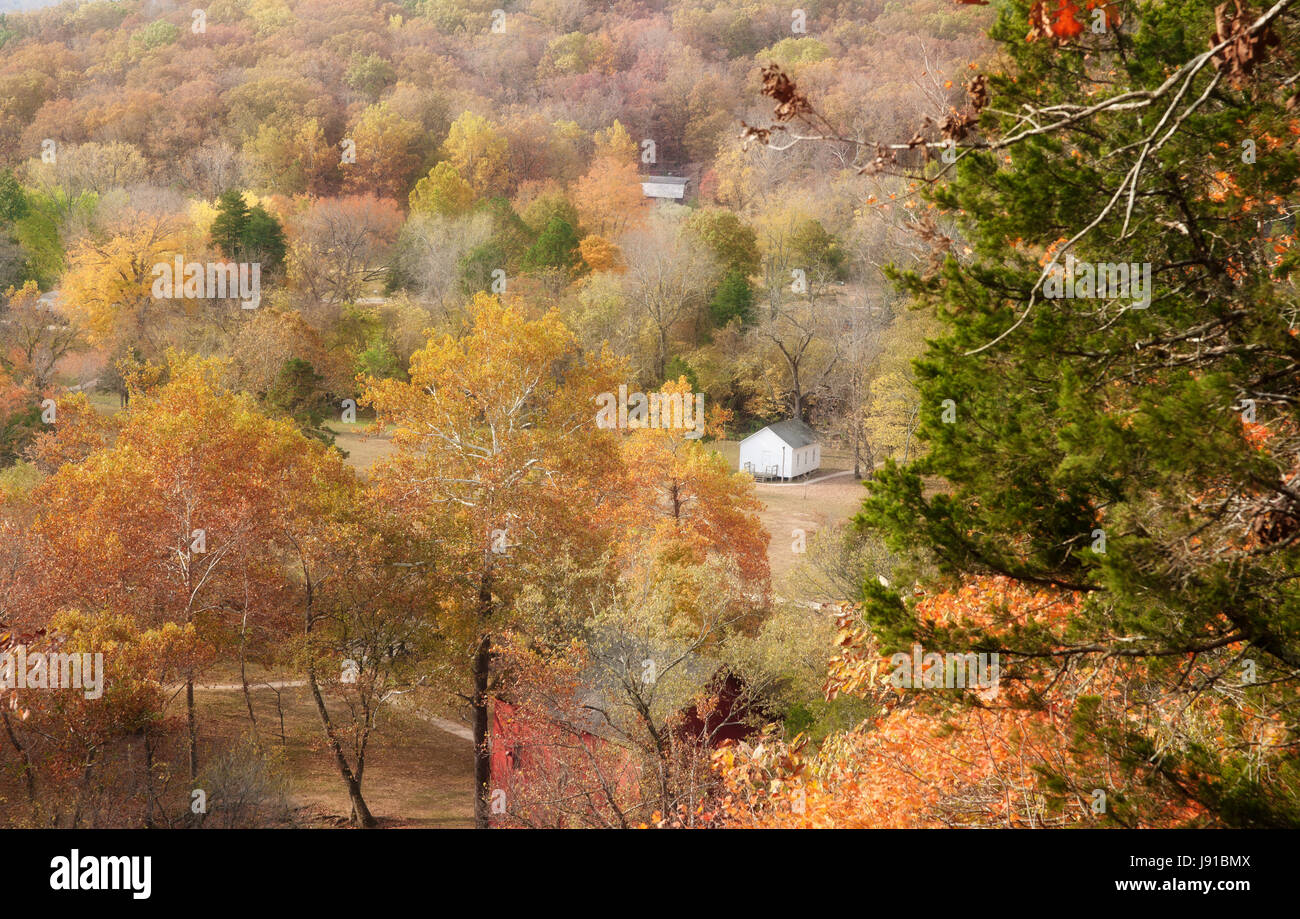 beautiful, beauteously, nice, tree, trees, coloured, colourful ...