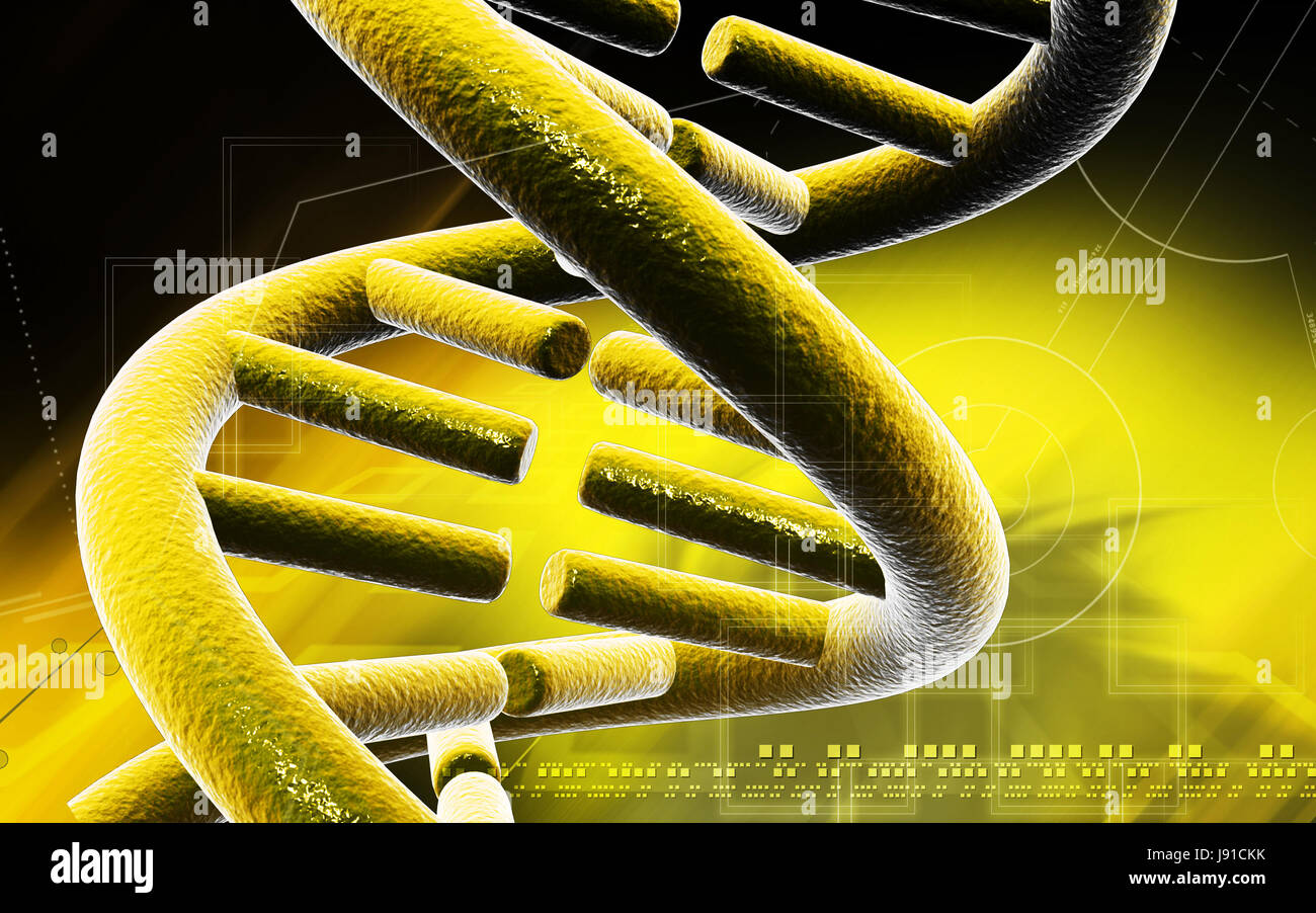 education, medicinally, medical, graphics, colour, science ...