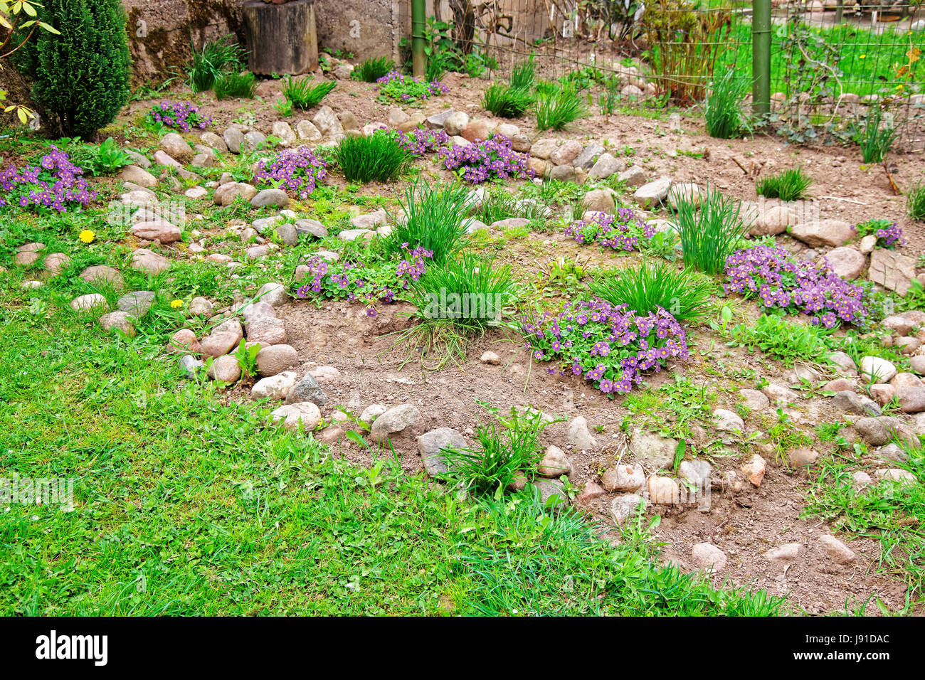 Early spring flowers blooming in Traku Voke public park in Vilnius ...