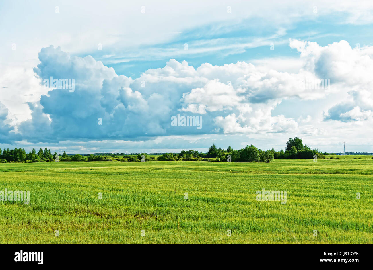 Rural landscape with the field and sky with dramatic clouds, Lithuania ...