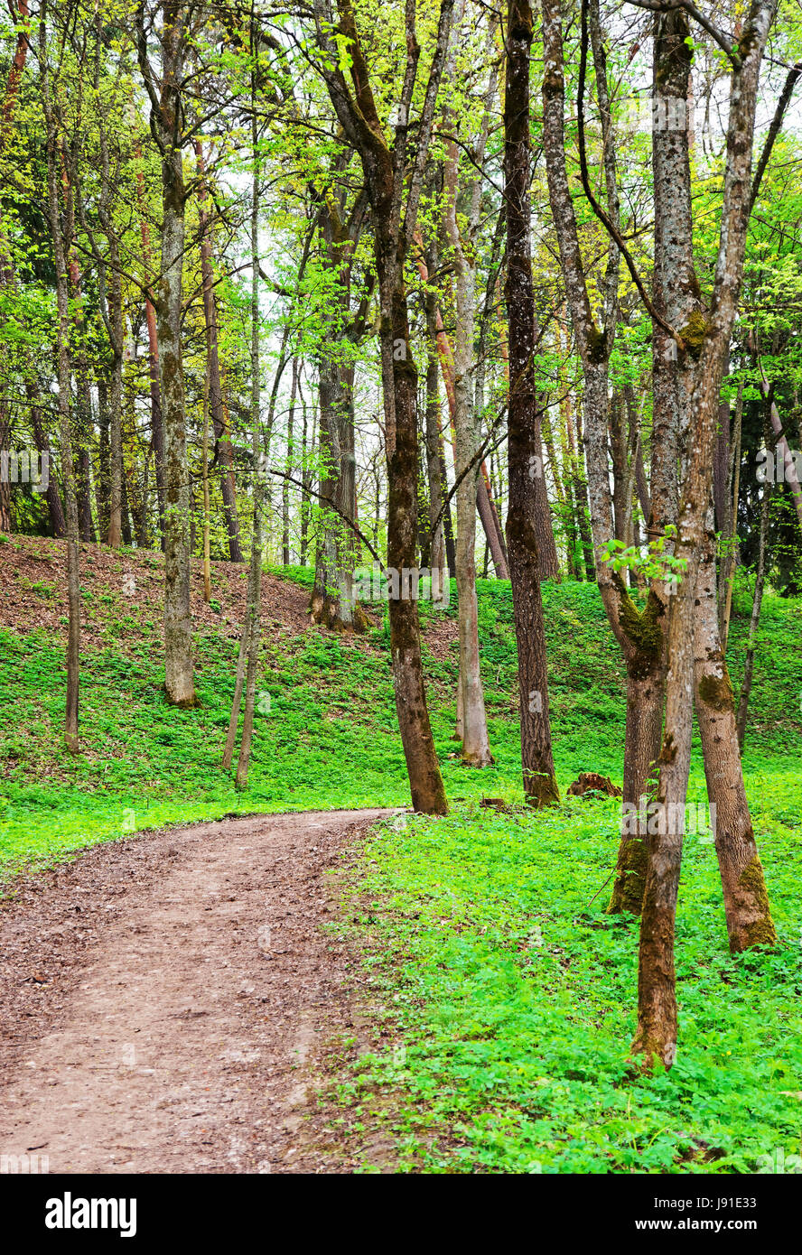 Trail in Traku Voke public park in Vilnius, Lithuania Stock Photo - Alamy