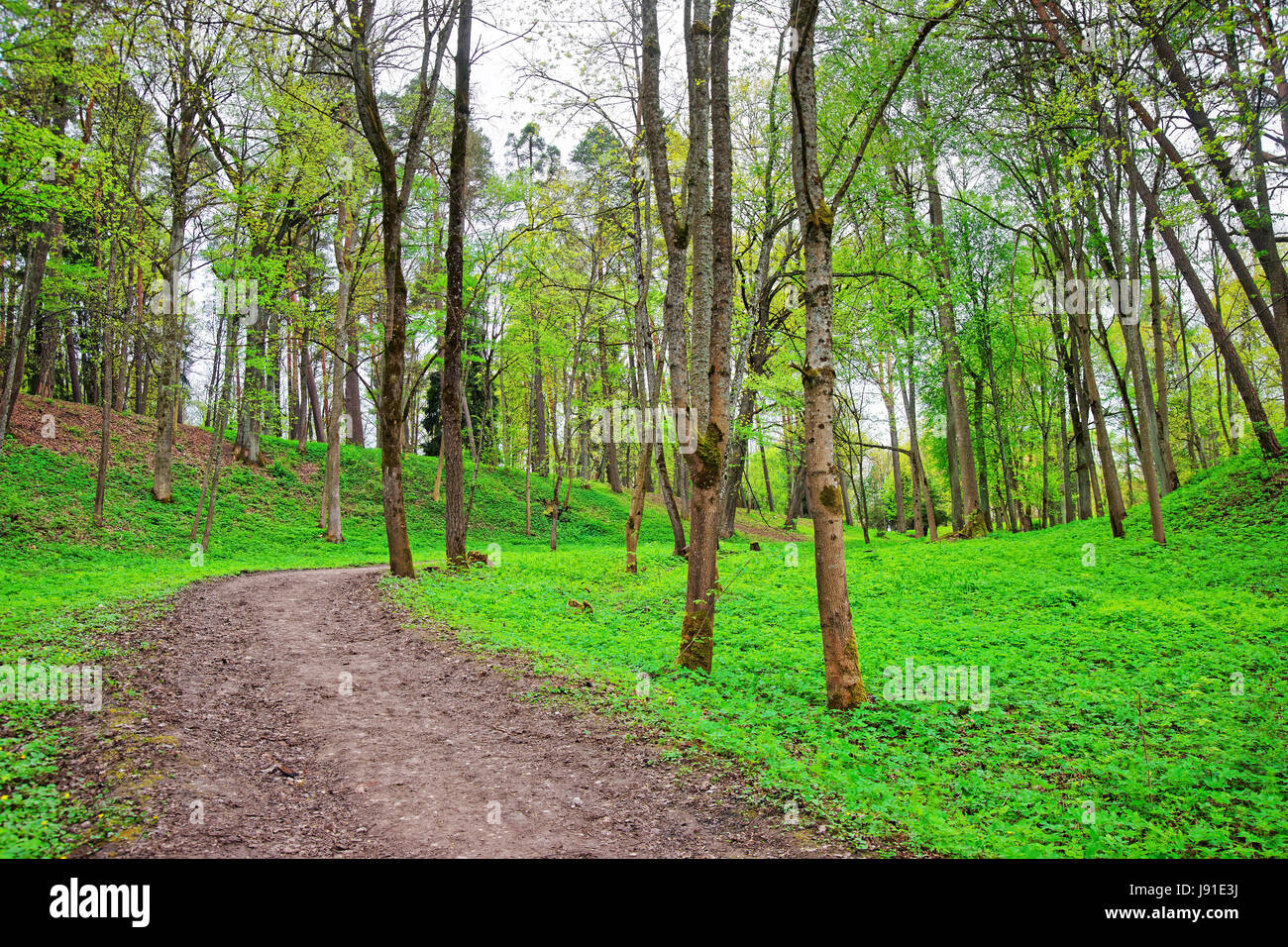 Trail in Traku Voke public park of Vilnius, Lithuania Stock Photo - Alamy