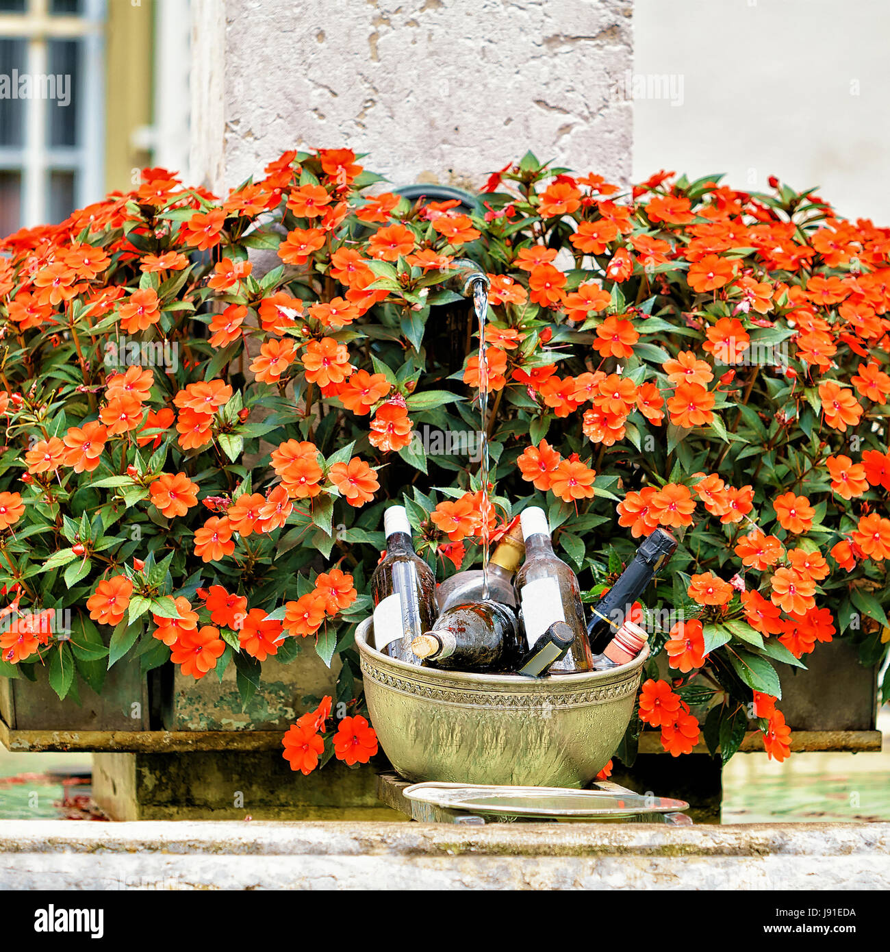 Fountain and blossoming flowers in Kramgasse street in Bern ...