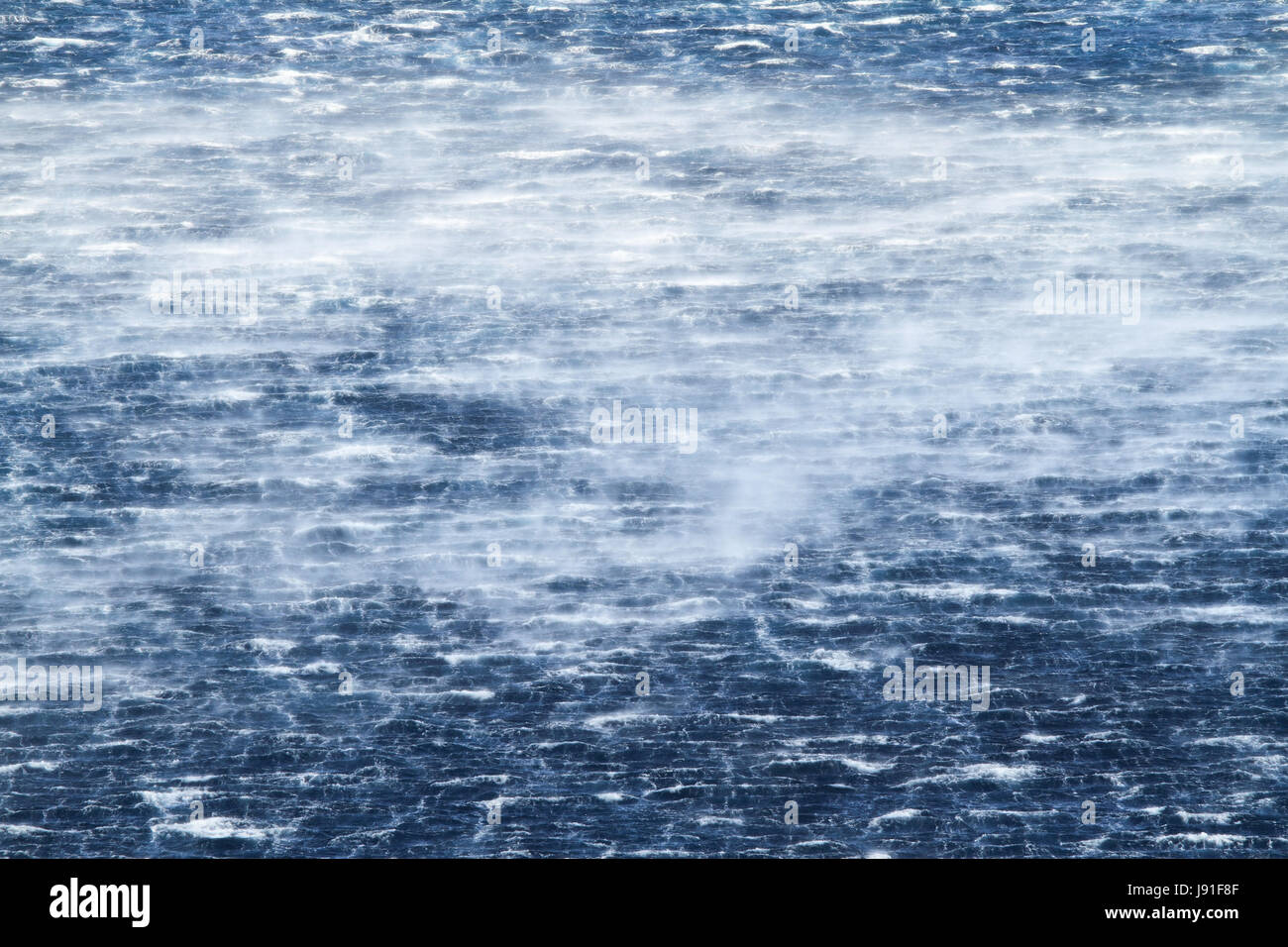 summer, summerly, salt water, sea, ocean, water, backdrop, background ...