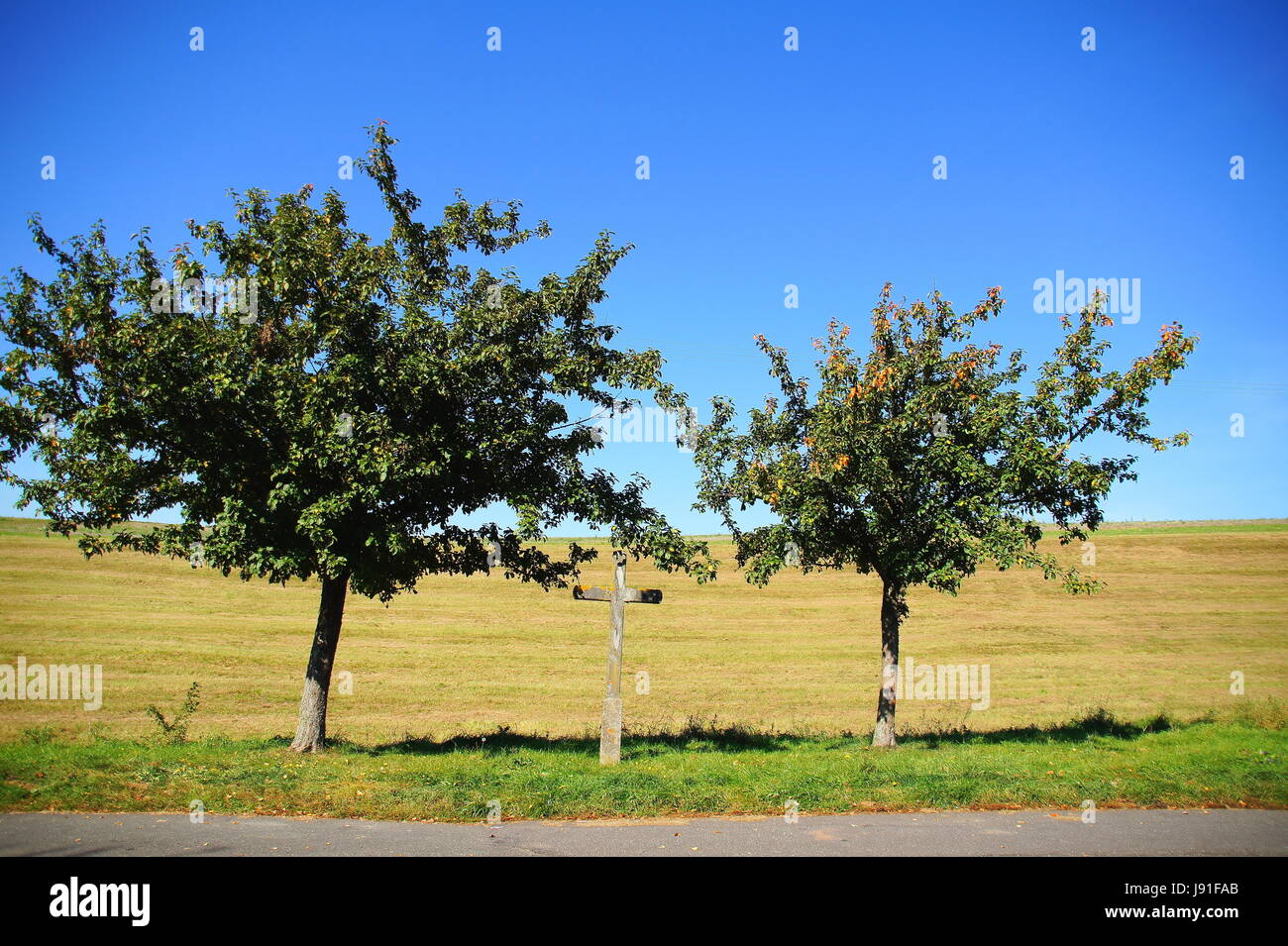 tree, cross, apple tree, resting place, religion, belief, tree, trees ...