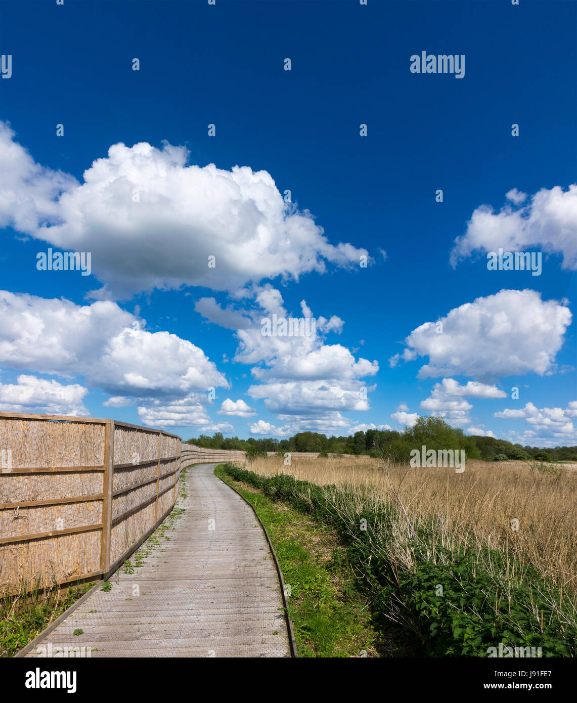Sculthorpe, Moor, Nature Reserve, wetland, Norfolk, England, UK Stock ...