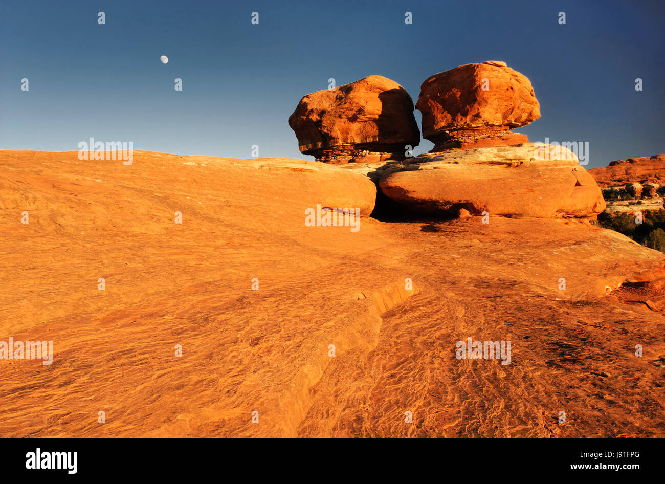 North America; United States; Utah; Canyonlands National Park ...