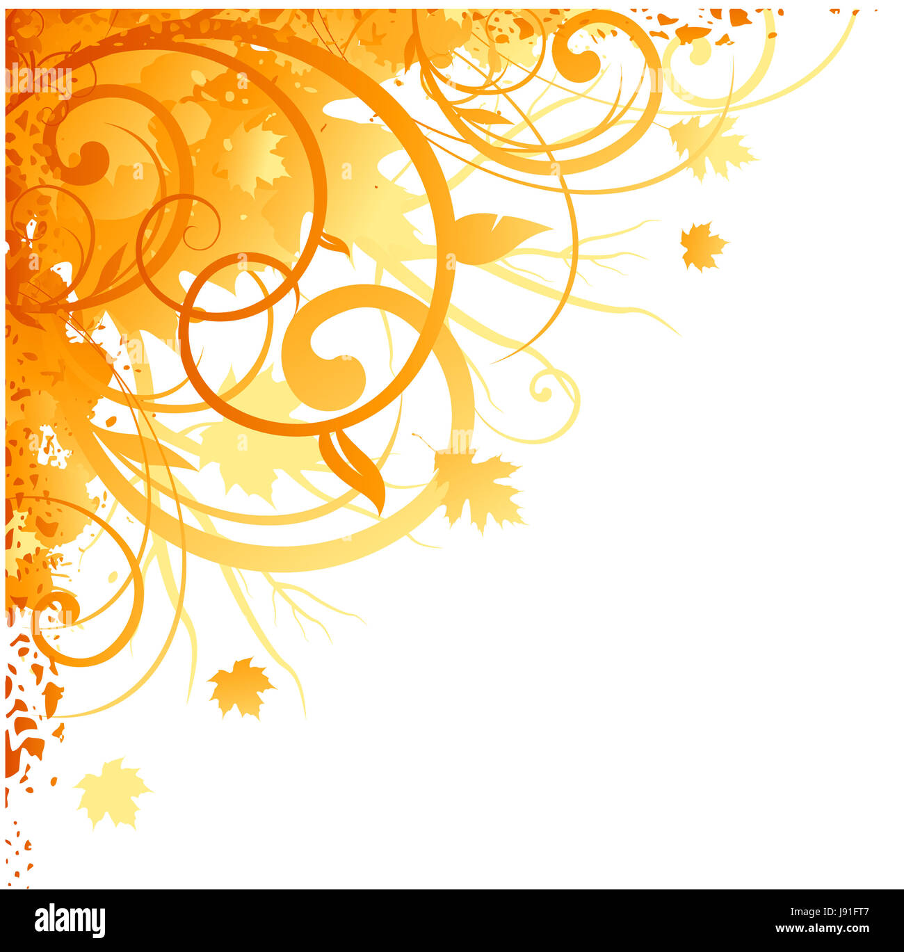 Curled maple leaf hi-res stock photography and images - Alamy