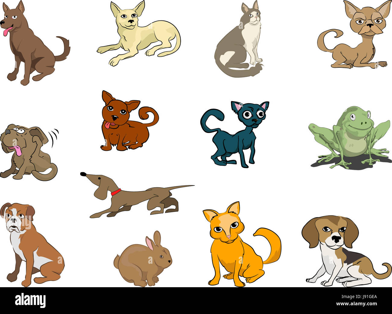 Dog frog hi-res stock photography and images - Alamy