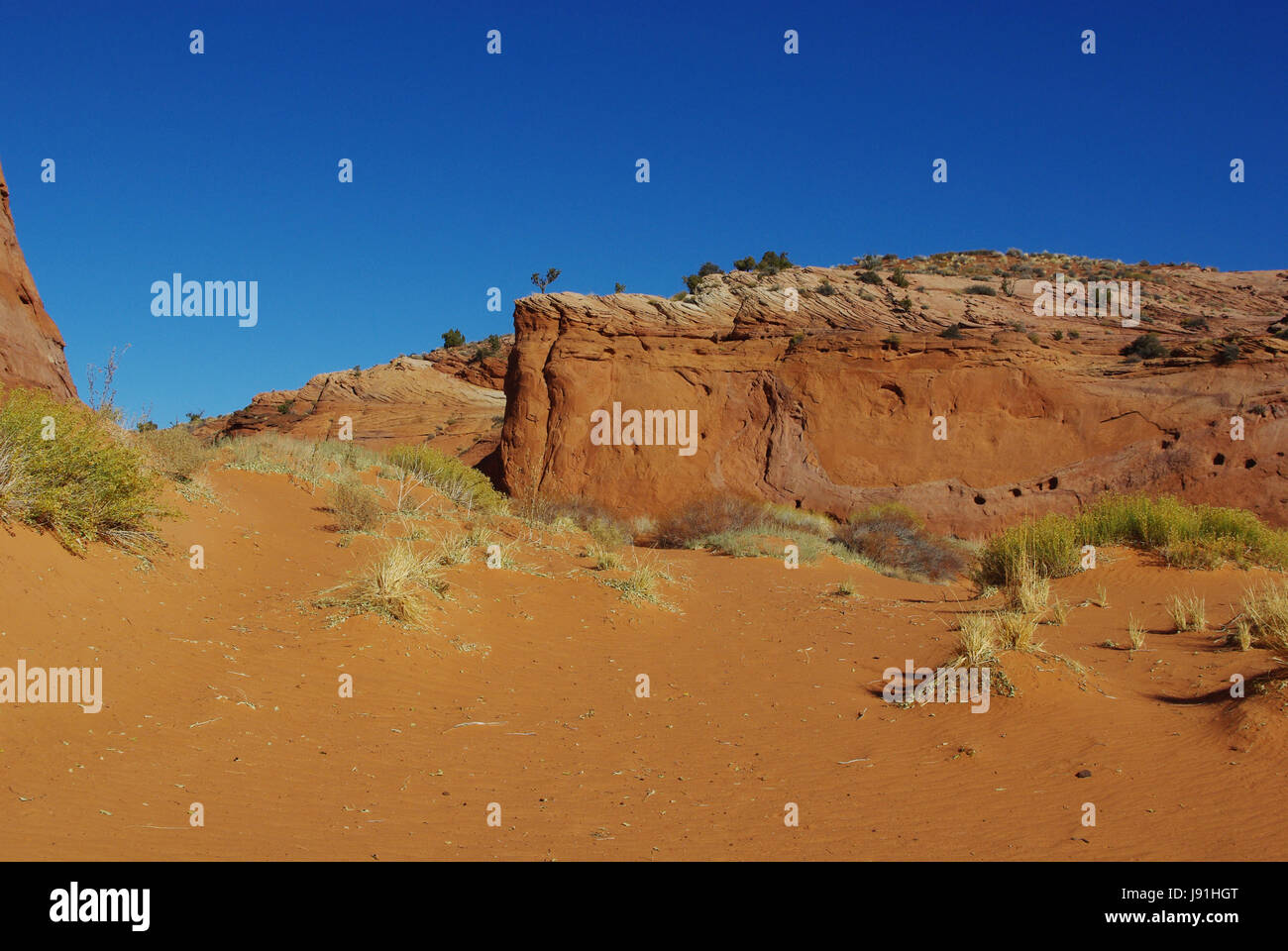 shrub, ravine, bush, dune, Canyon, sands, sand, blue, desert, wasteland ...