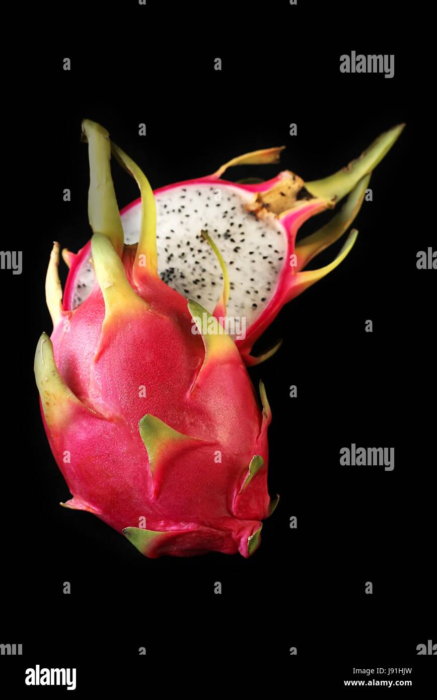 Junco tapato hi-res stock photography and images - Alamy