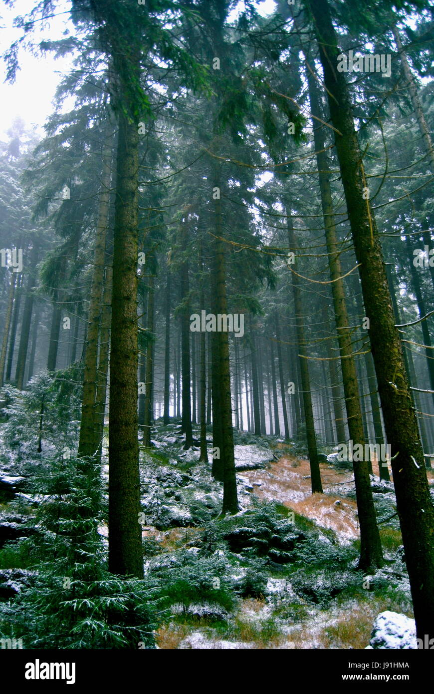 Liberec czech hi-res stock photography and images - Alamy