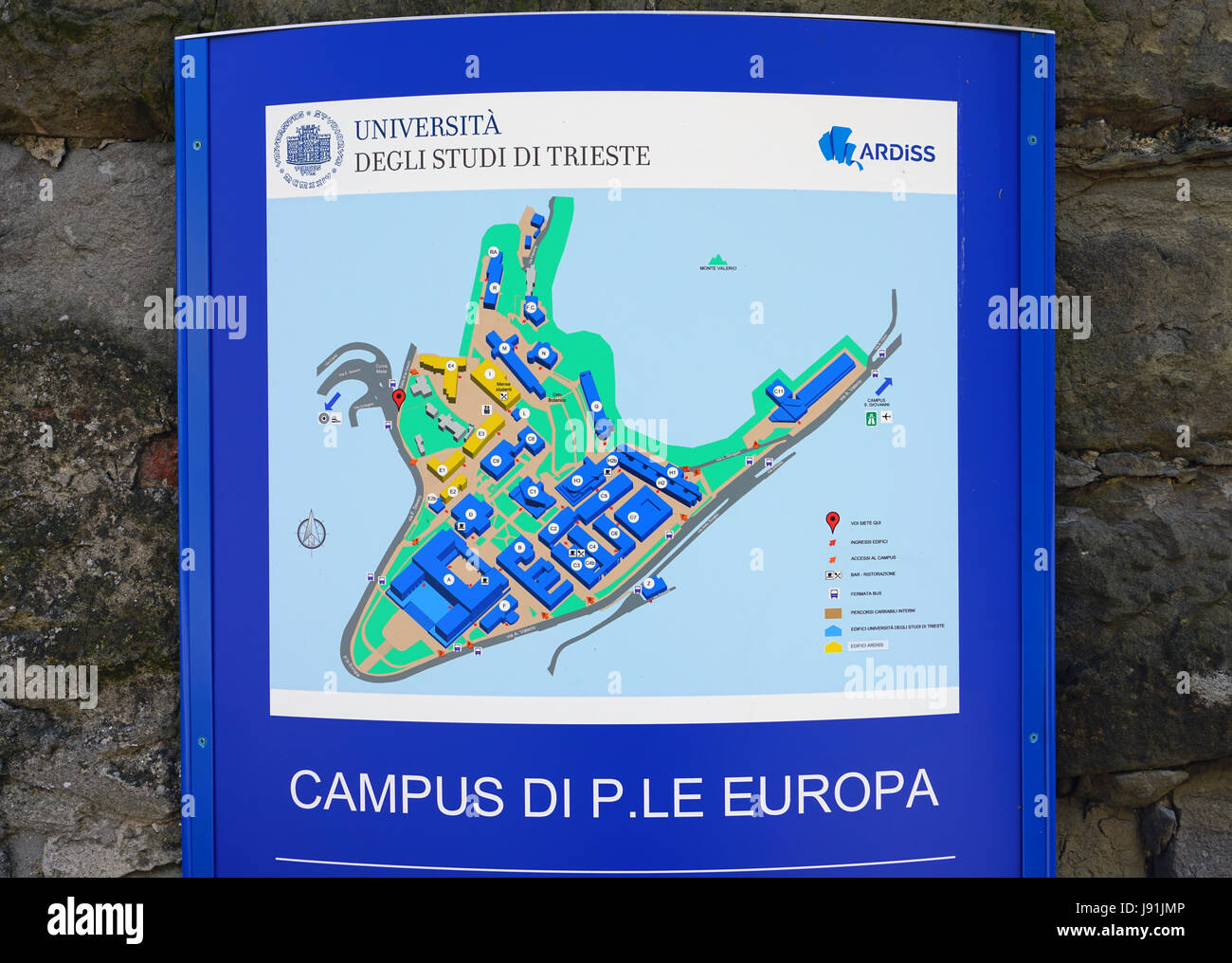 Universita Trieste Logo