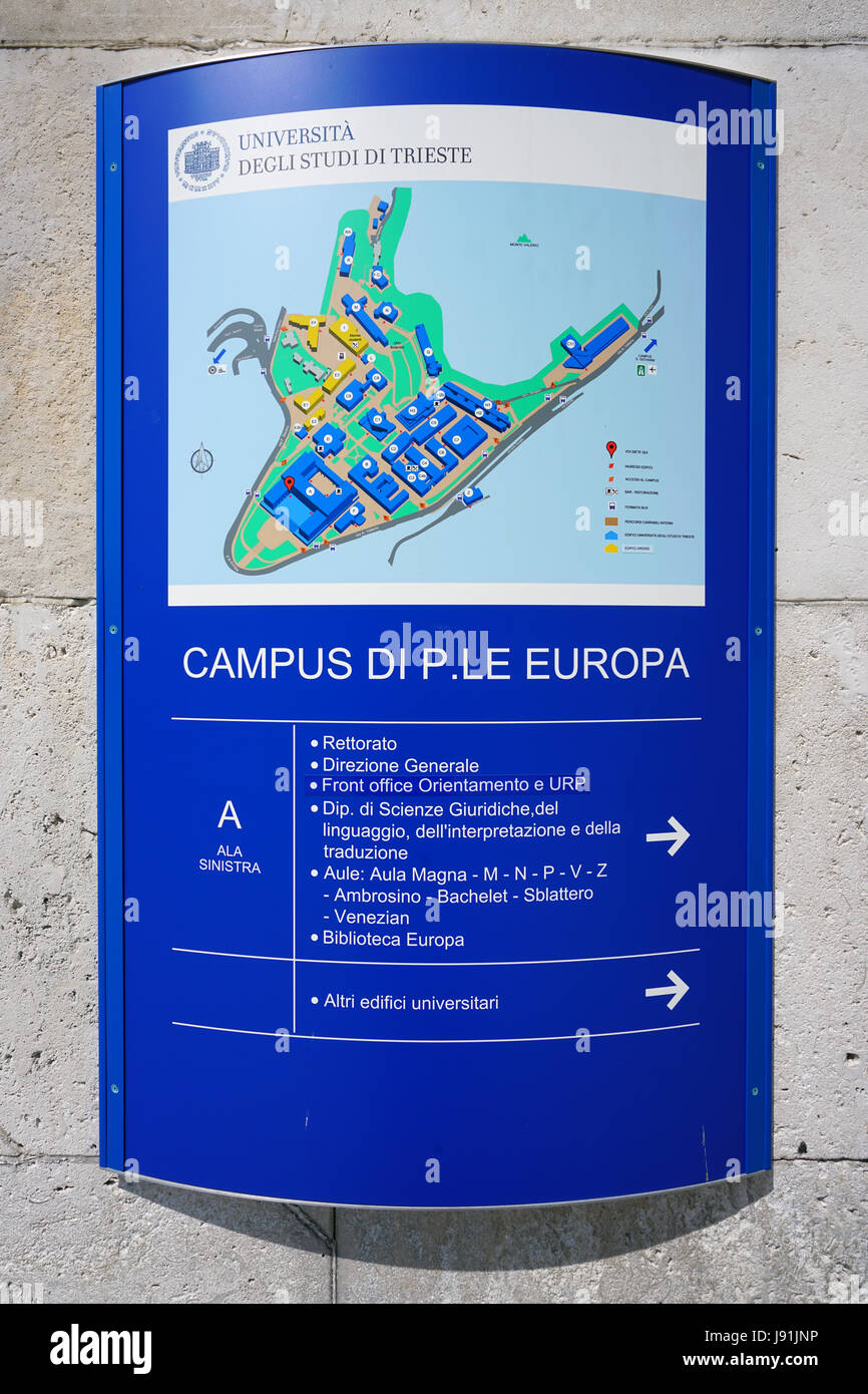 Universita Trieste Logo