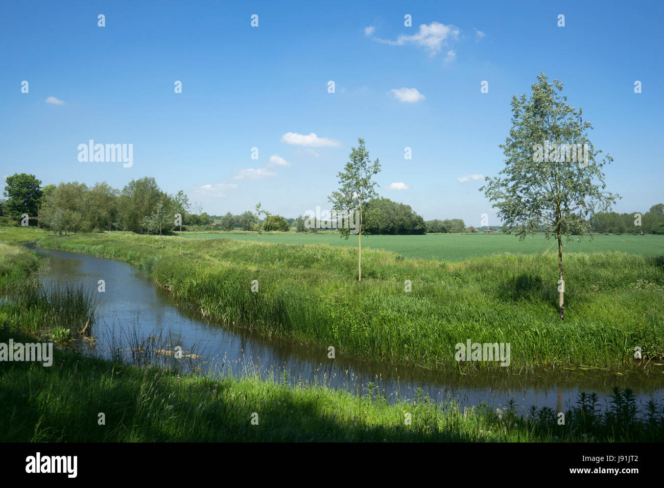 Bures hi-res stock photography and images - Alamy