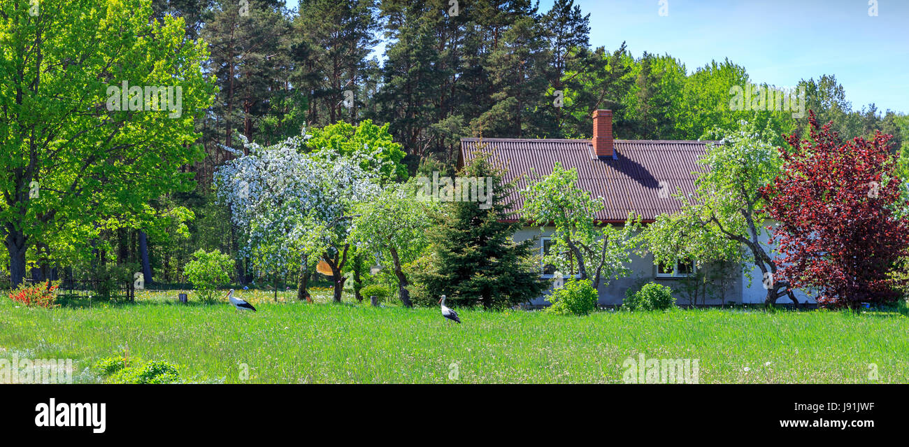 Panoramic spring landscape Stock Photo - Alamy