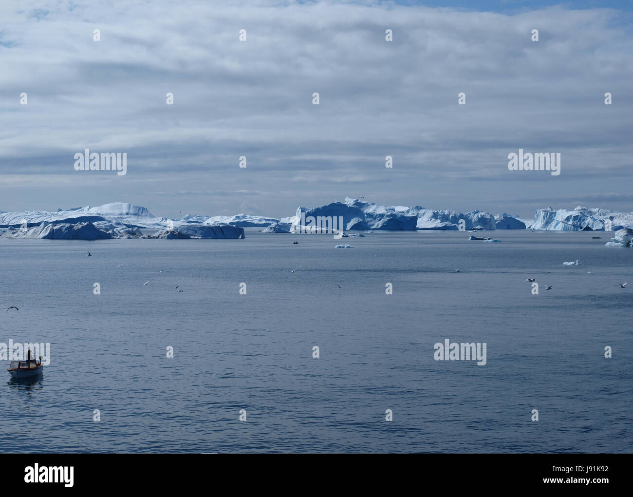 blue, arctic, greenland, iceberg, salt water, sea, ocean, water, polar ...