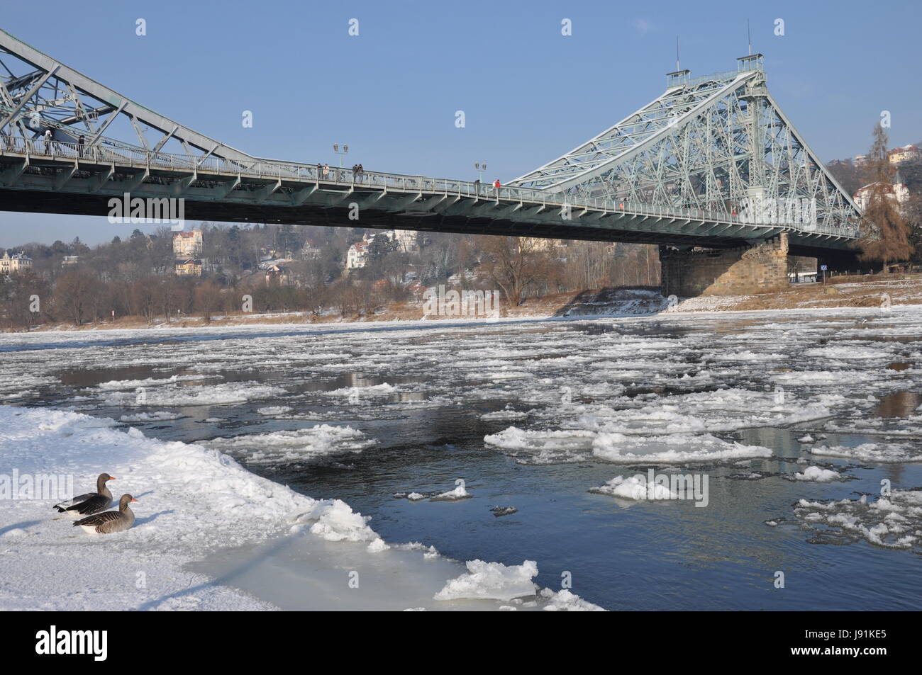 blue wonder in dresden Stock Photo - Alamy