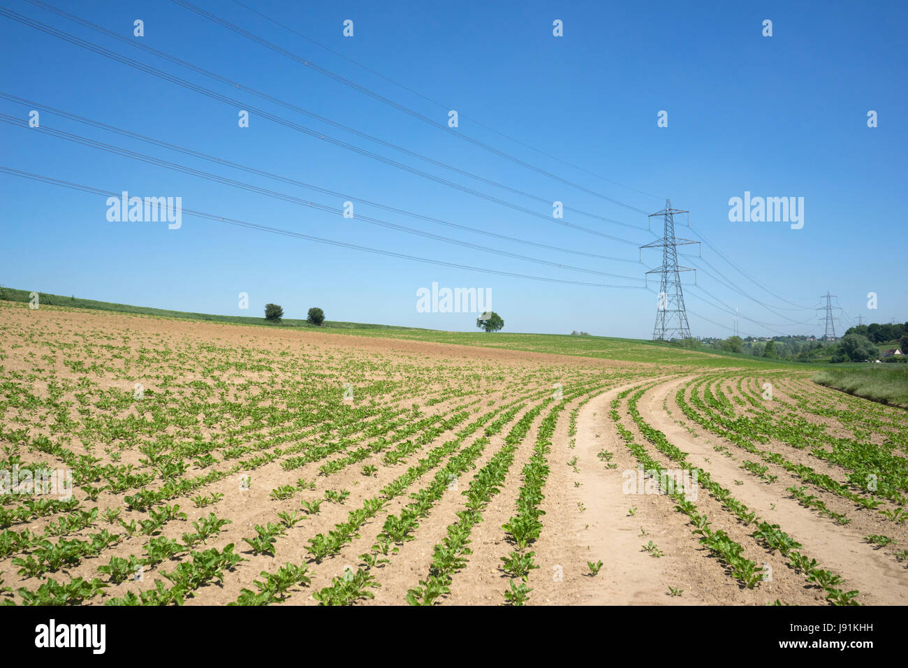 industrial countryside view, Suffolk Stock Photo - Alamy