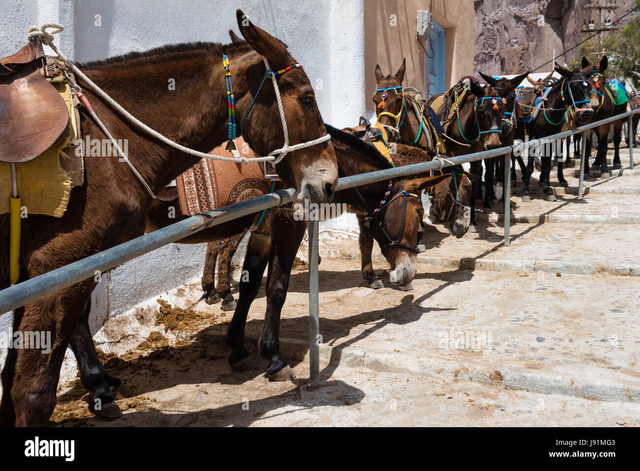 Donkey chair hi-res stock photography and images - Alamy