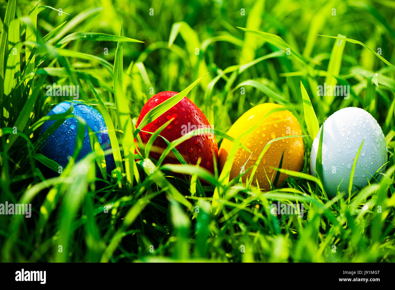 green, easter, deco, egg, colored, meadow, grass, lawn, backdrop, background Stock Photo - Alamy