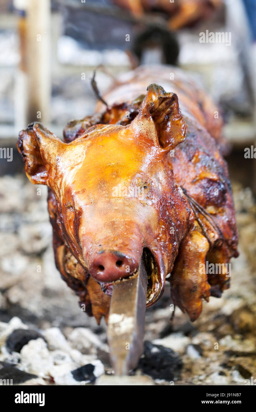 Traditionally suckling pig on a rotating spit with fire Stock Photo - Alamy