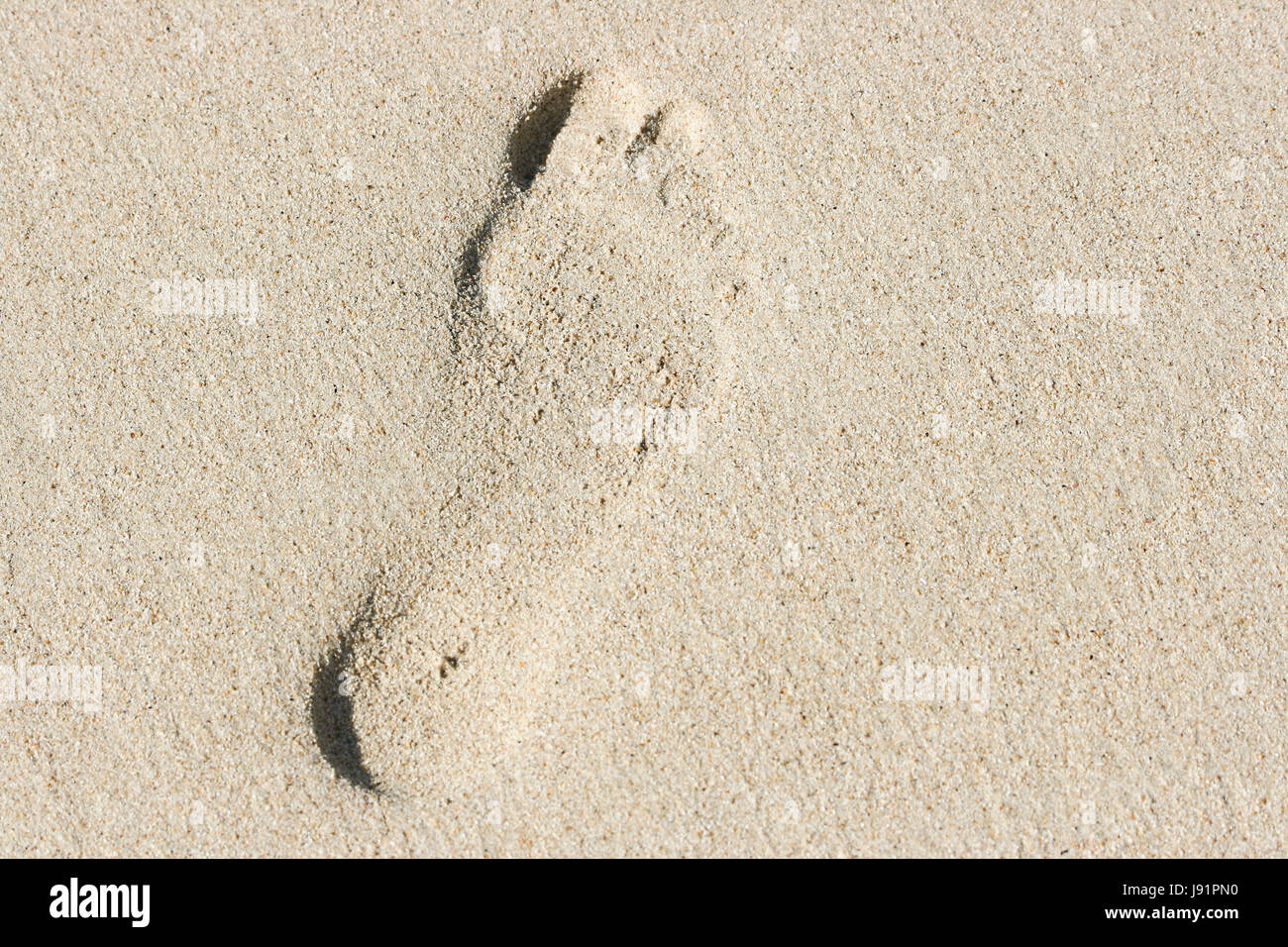 beach, seaside, the beach, seashore, foot, copy, salt water, sea, ocean ...