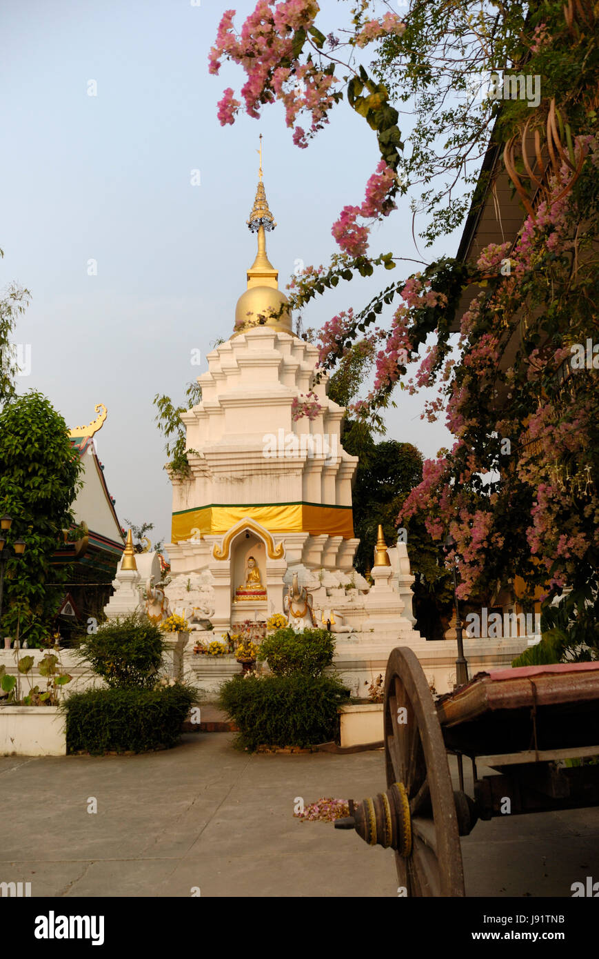 Muan hi-res stock photography and images - Alamy