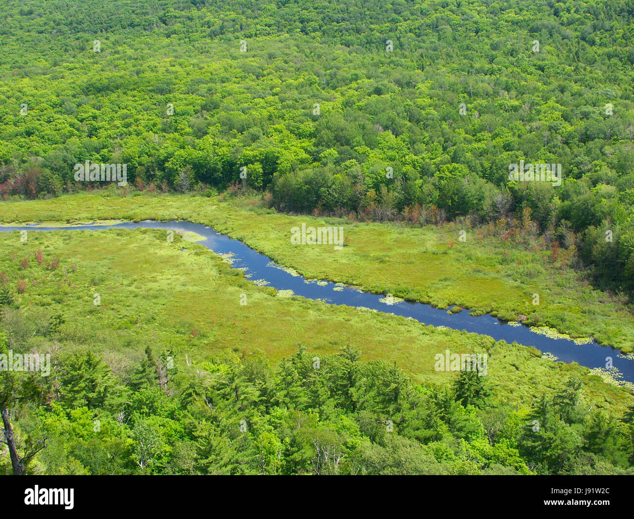 park, stream, wilderness, river, water, shine, shines, bright, lucent ...