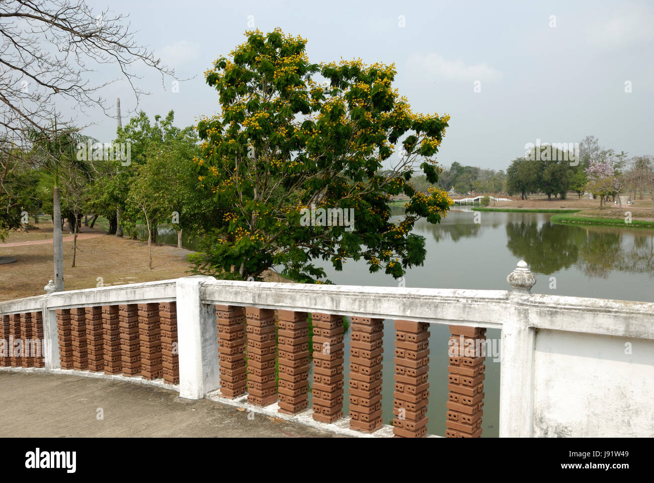 park, asia, bridge, thailand, railing, bridge parapet, tree, trees ...