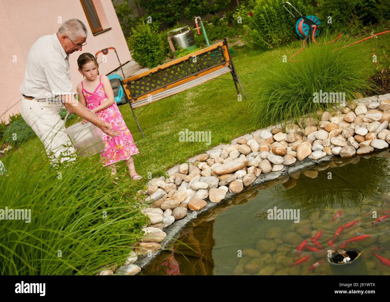 Child feeding fish pond hi-res stock photography and images - Alamy