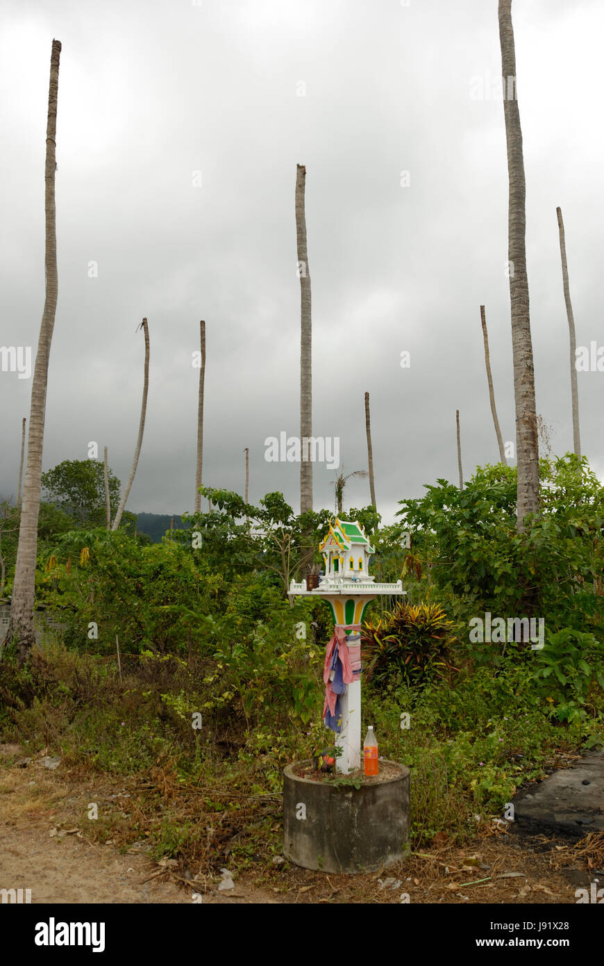 headless coconut trees and ghost house on ko phaluai Stock Photo - Alamy