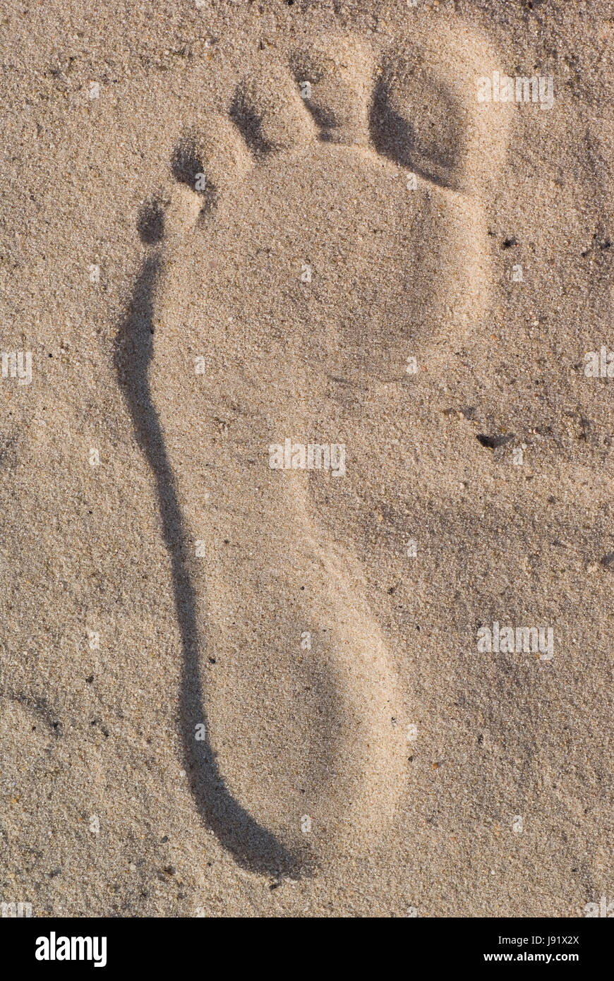 female, reflection, foot, dry, dried up, barren, track, footmark ...