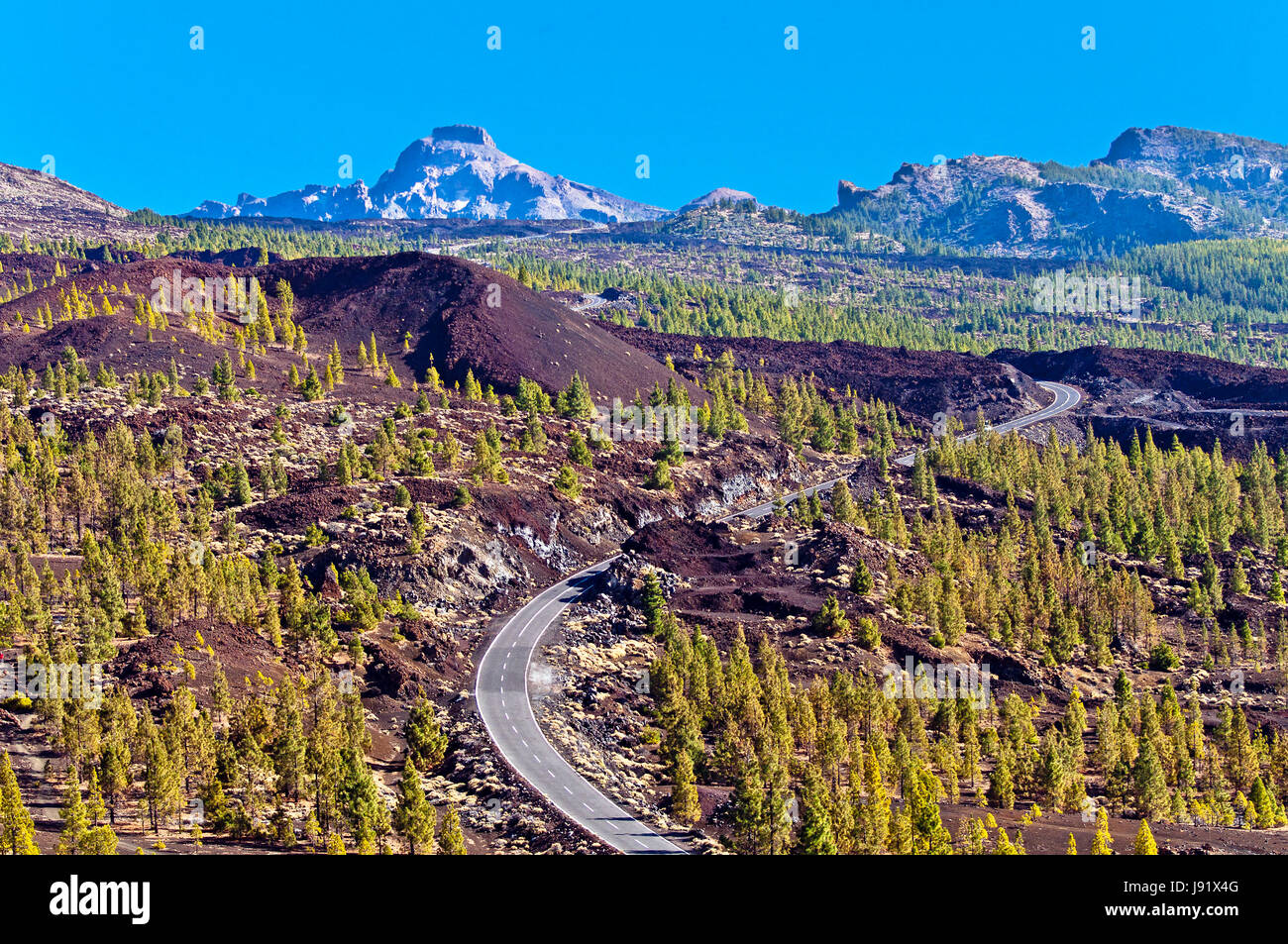 mountains, national park, rock, canary islands, volcanism, pines ...