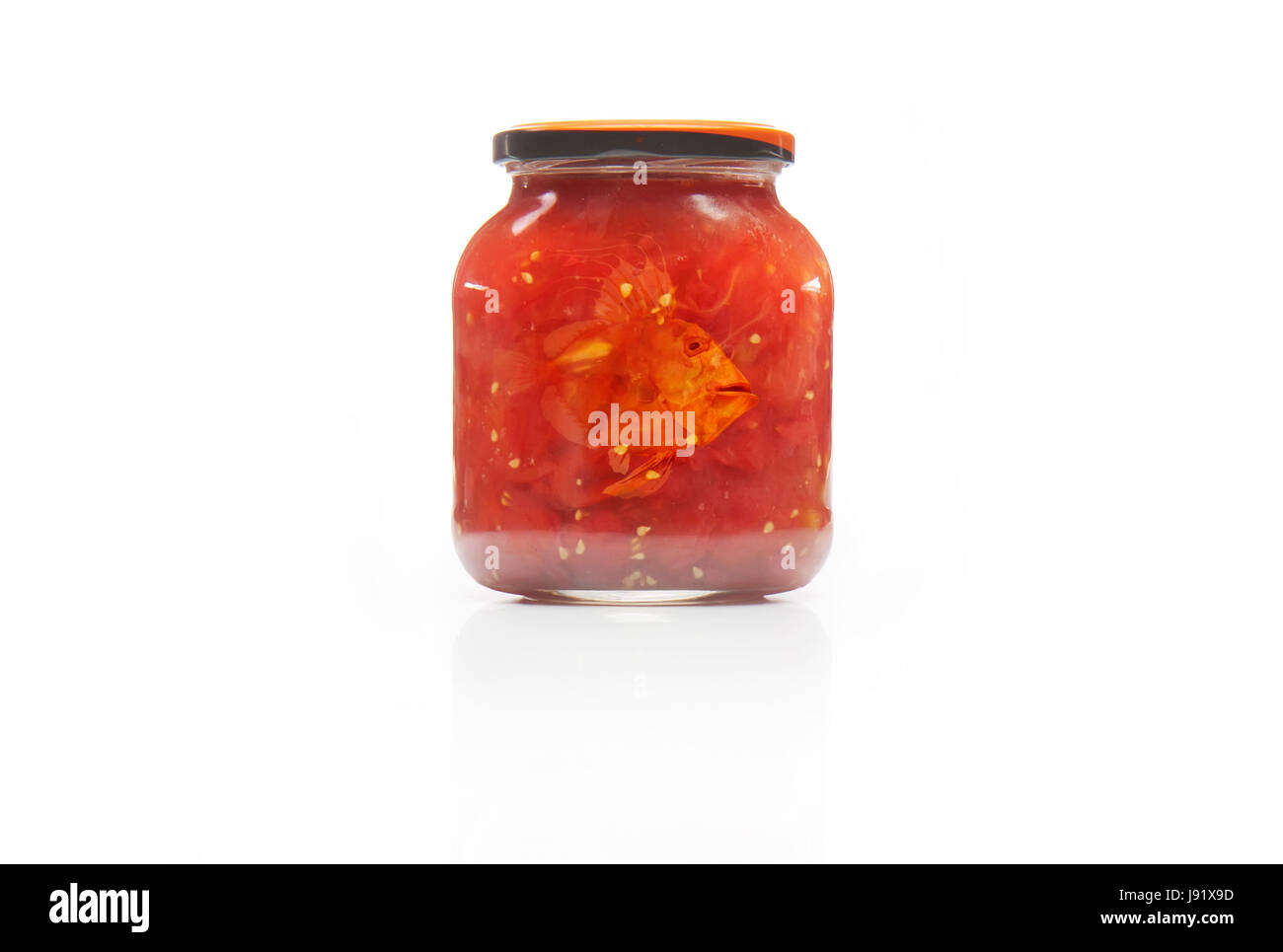 food, aliment, angle, fish, container, empty, fin, tomato, sealed ...